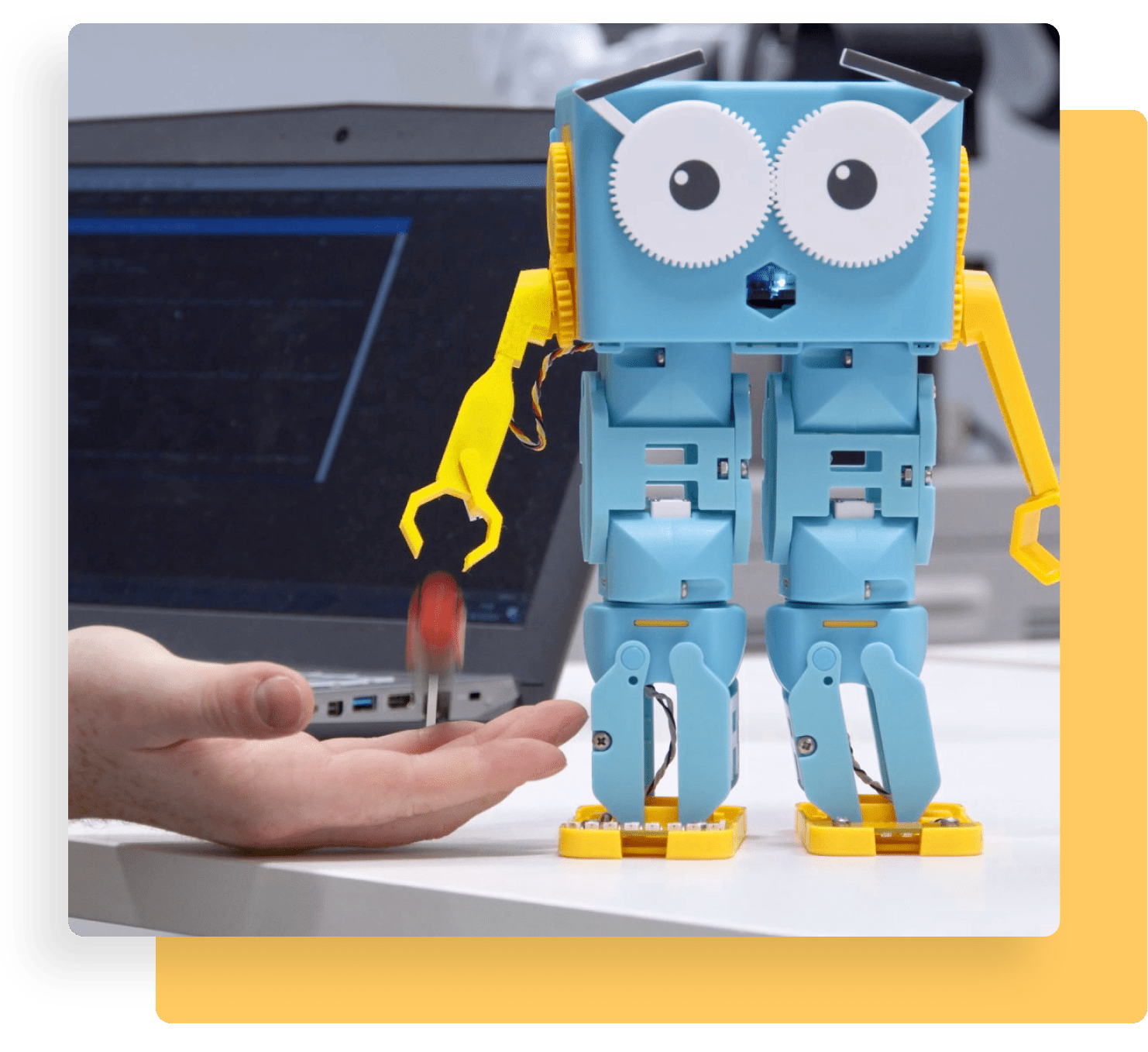 Marty the Robot - Best Robot for Coding & STEM | Robotical